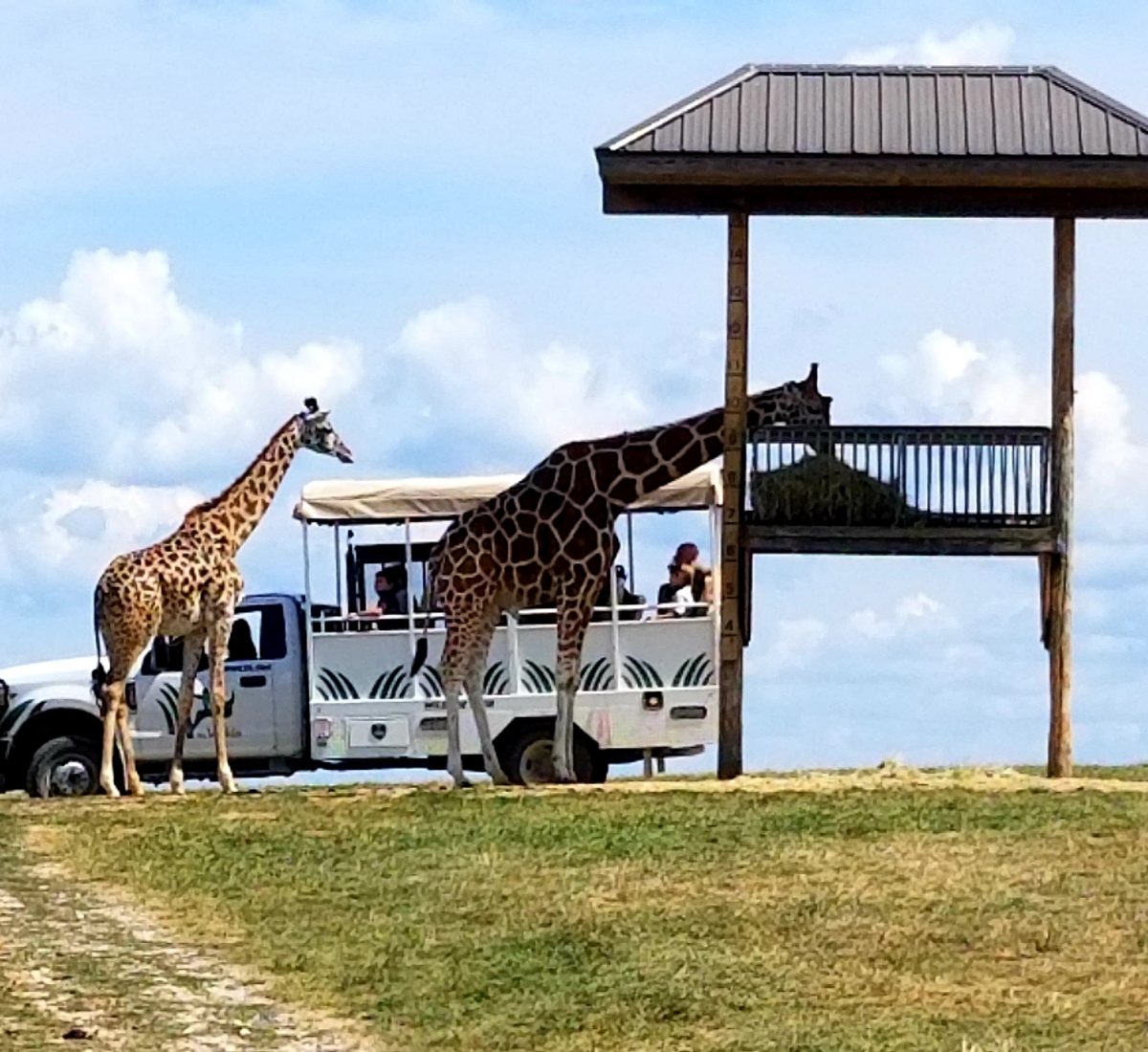 Guernsey County, Oh-The Perfect Three-Day Escape - Cambridge Ohio ...